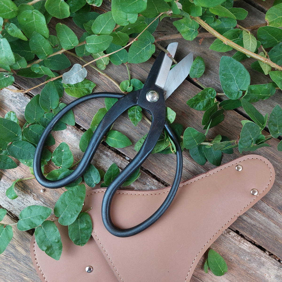 MARTHA'S VINEYARD Stem & Branch Steel Cutters