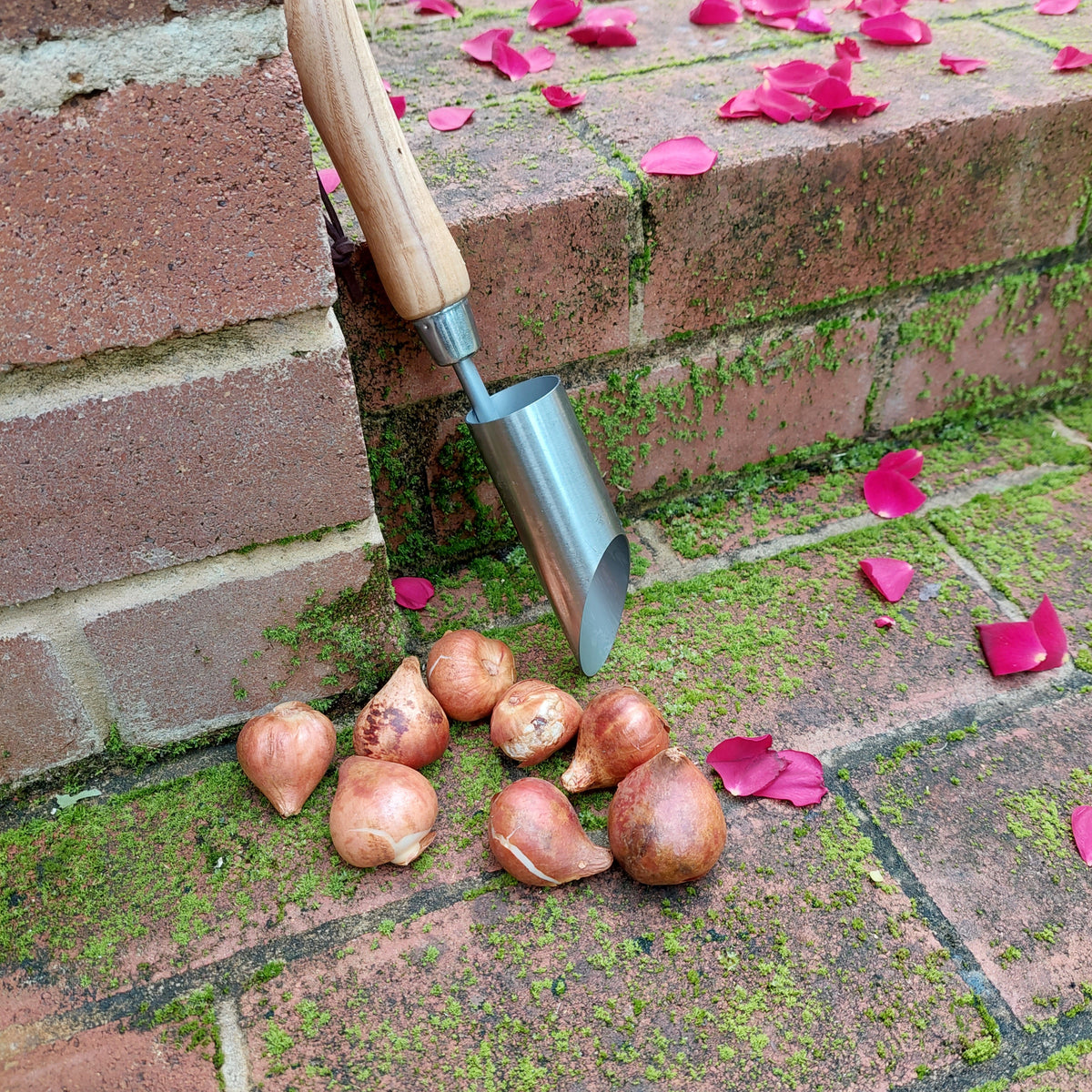 MARTHA'S VINEYARD Small Bulb Planter - Stainless Steel