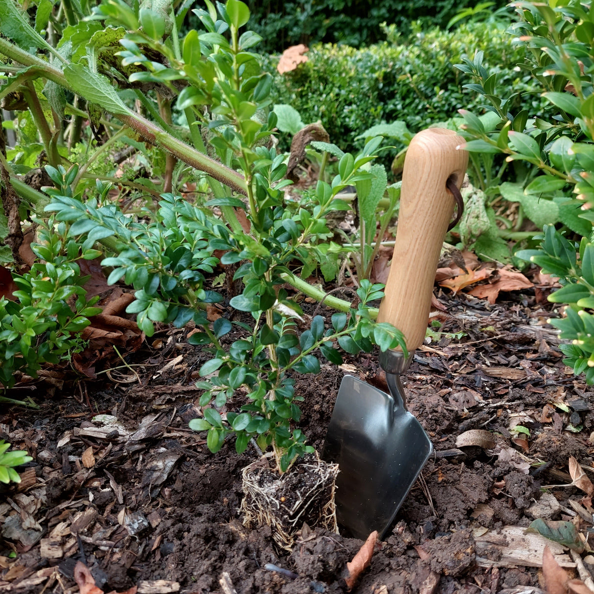 MARTHA'S VINEYARD Hand Trowel - Stainless Steel