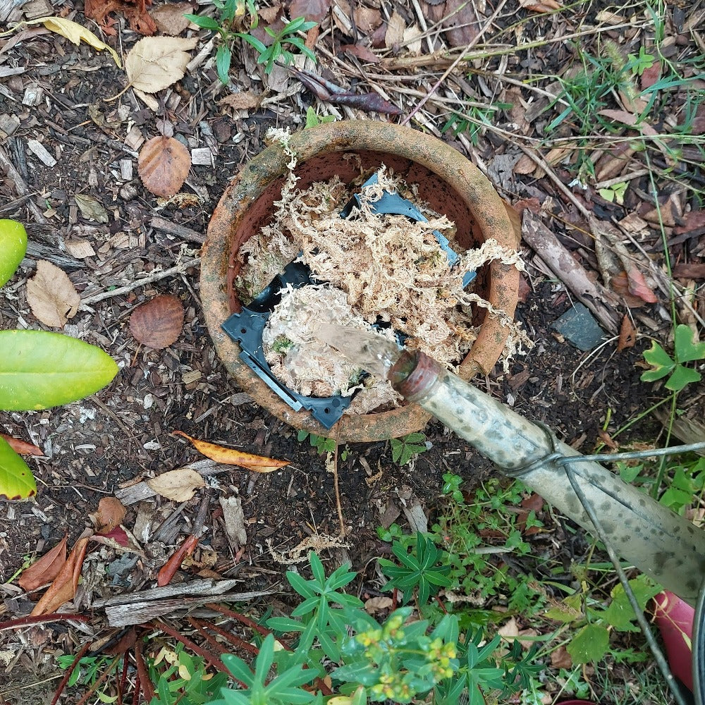 MARTHA'S VINEYARD Marcotting Pods for Air Layering - Medium 5 pack