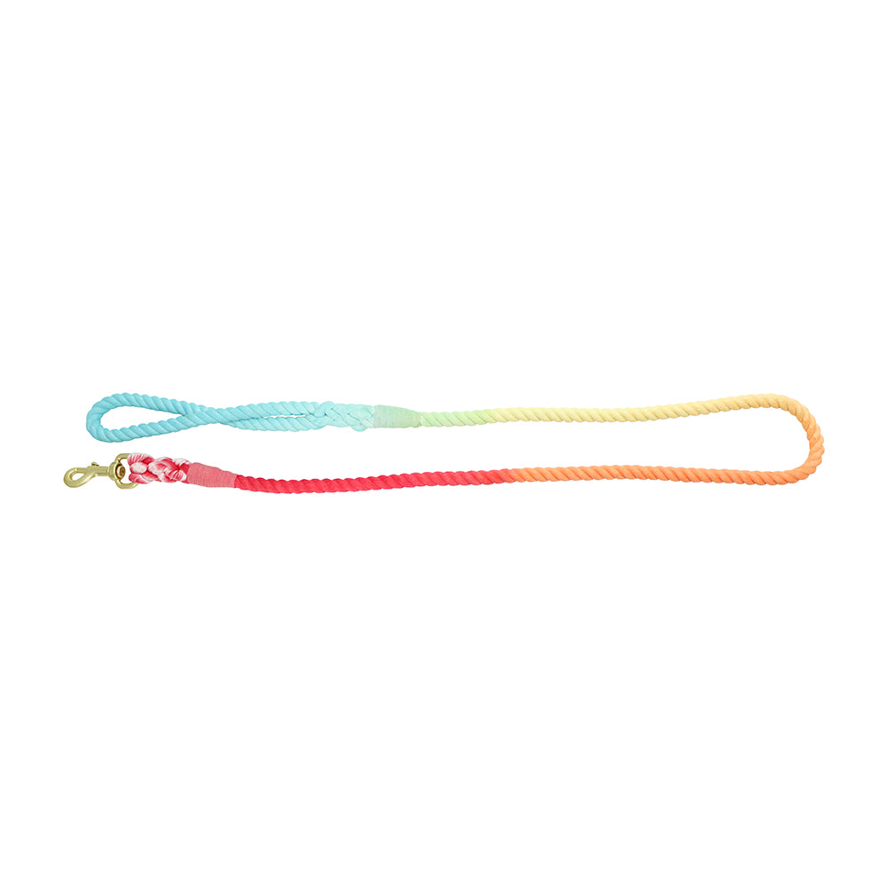 ANNABEL TRENDS Hot Dog Rope Lead - Rainbow