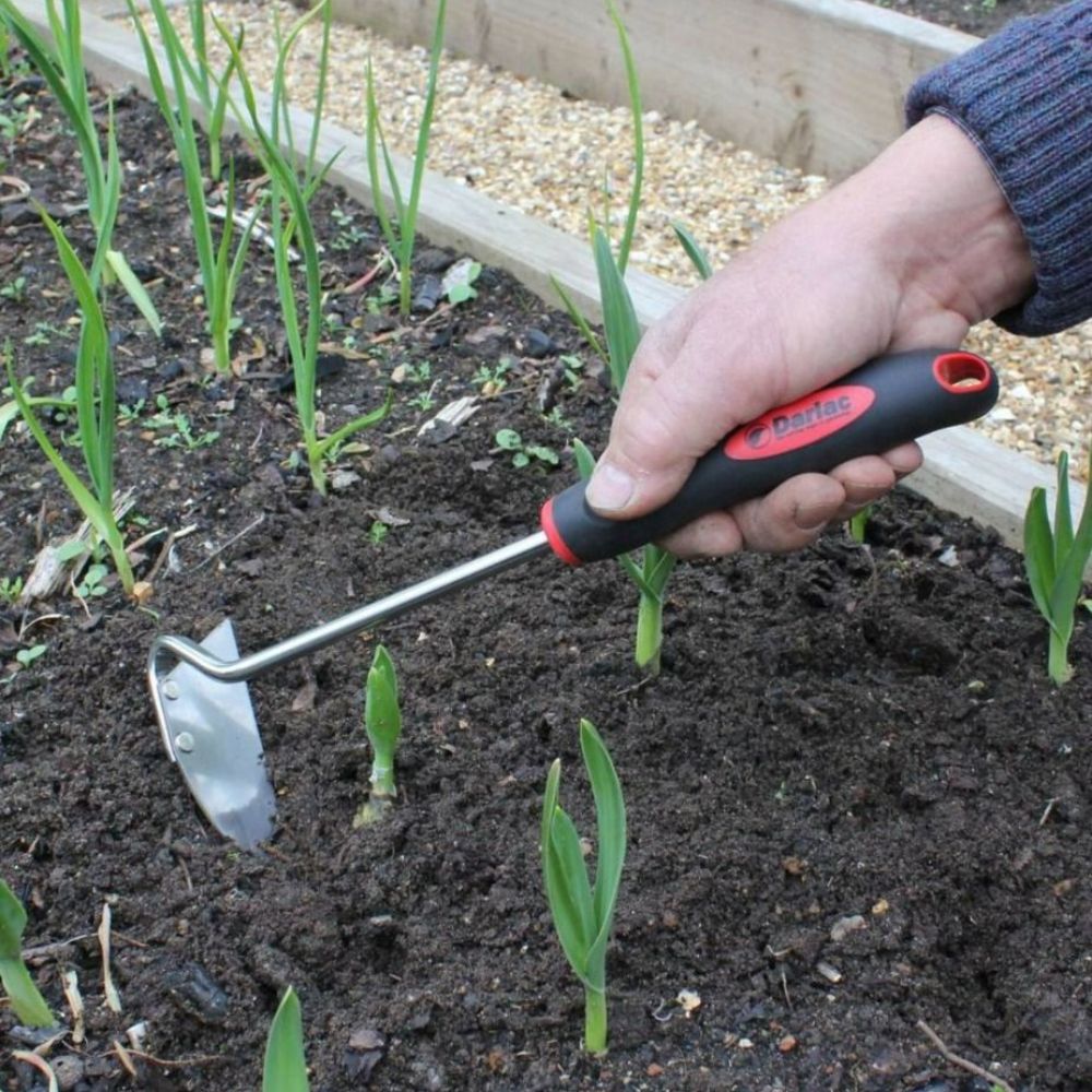DARLAC Stainless Steel Onion Hoe