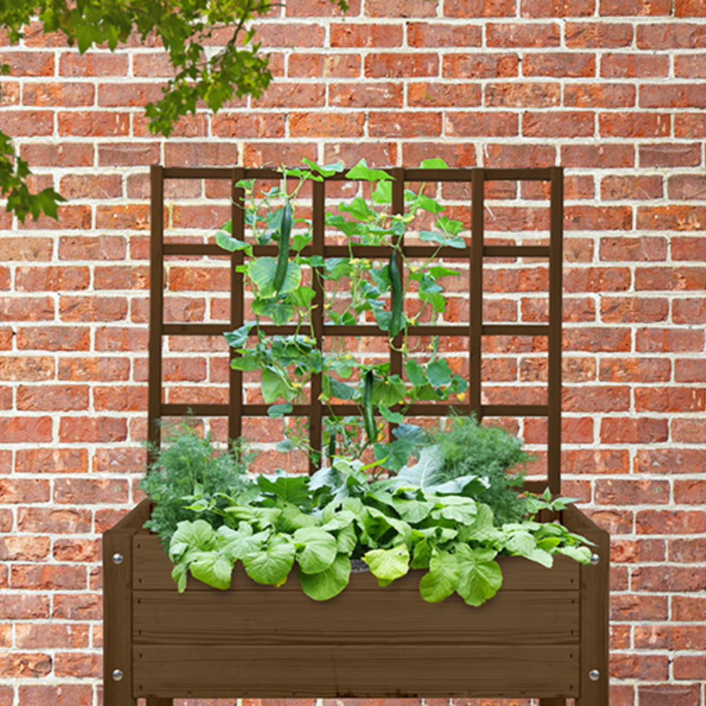ESSCHERT DESIGN Wooden Garden Bed Trellis - Brown