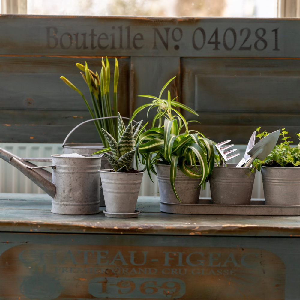 ESSCHERT DESIGN Aged Zinc Pot Set With Tray