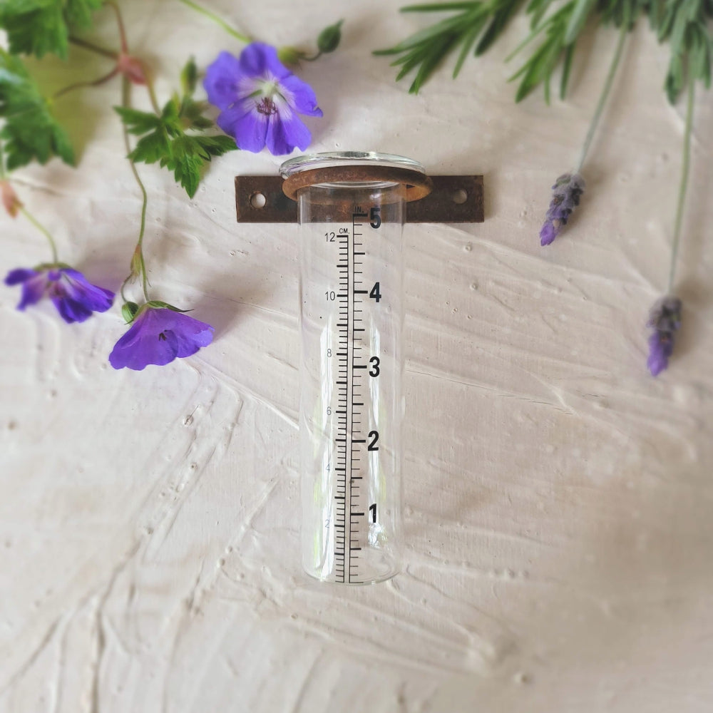 MARTHA'S VINEYARD Rustic Wall Mount Glass Rain Gauge - Pre Rusted