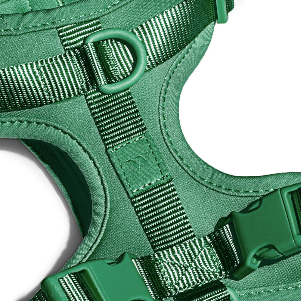 WILD ONE Dog Harness Large - Spruce **CLEARANCE**